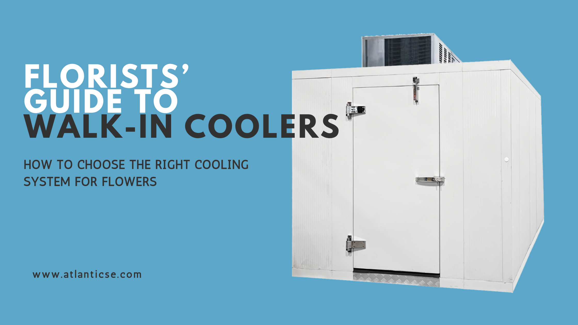 Why Florists Need Specialized Walk-In Coolers